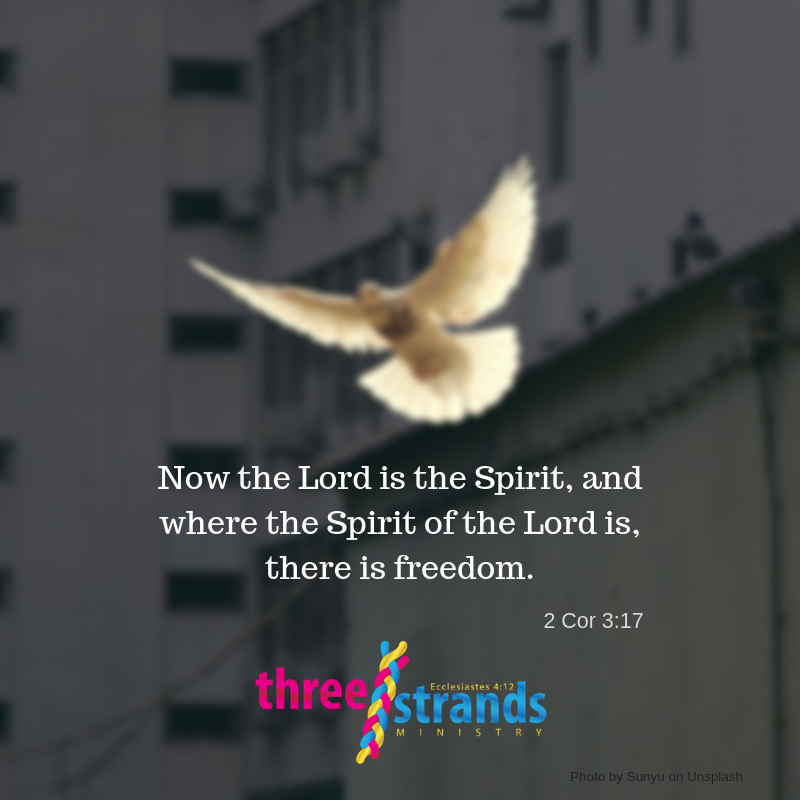 About 3 Strands - Three Strands Ministry